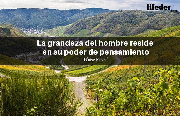 Las 48 mejores frases sobre la grandeza