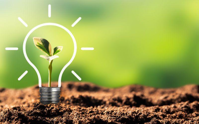 Ciencias auxiliares de la ecología y qué estudian