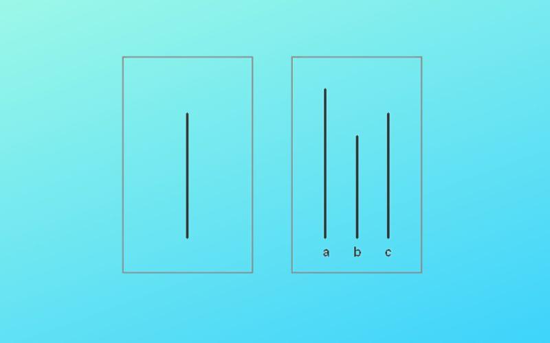 Experimento de Asch: qué fue, bases, procedimiento y resultados