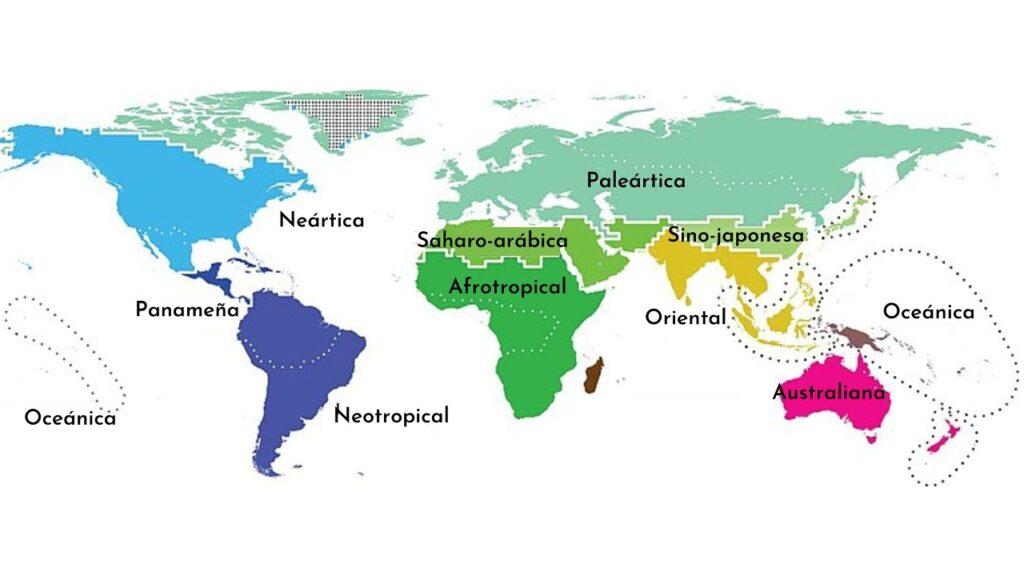 Regiones biogeográficas del mundo y sus características