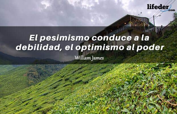 Las 155 Mejores Frases de Optimismo