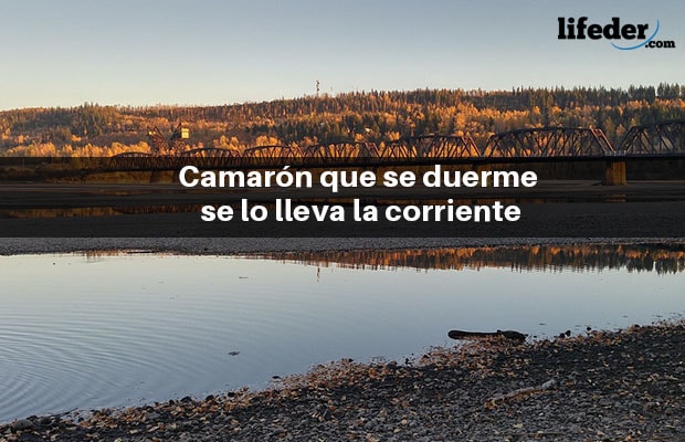 95 Refranes y Dichos Venezolanos y su Significado