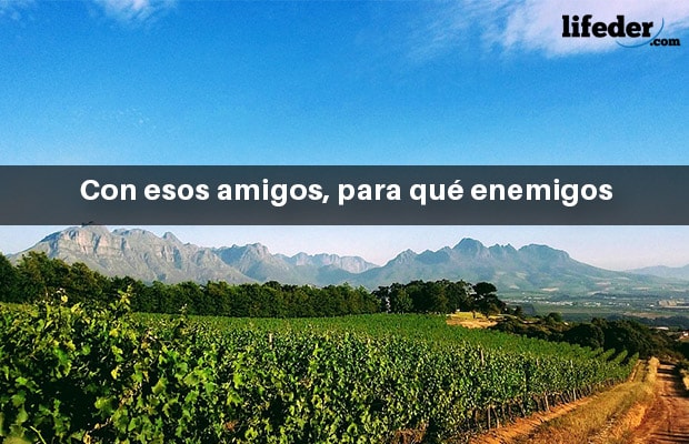 151 Refranes y Dichos Colombianos Muy Populares