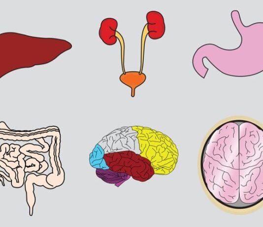 Ciencia