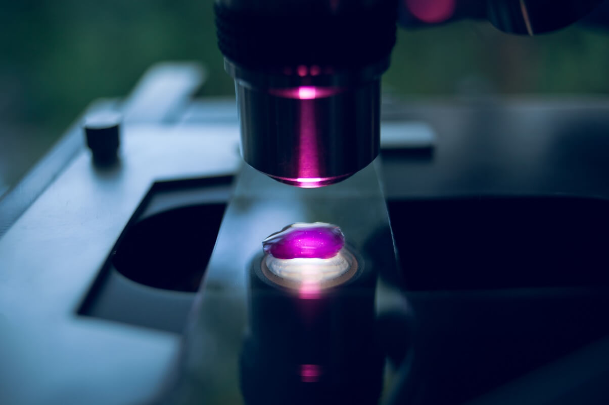 Los 20 Tipos de Microscopios y sus Funciones