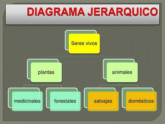 Que Es Un Diagrama Jerarquico