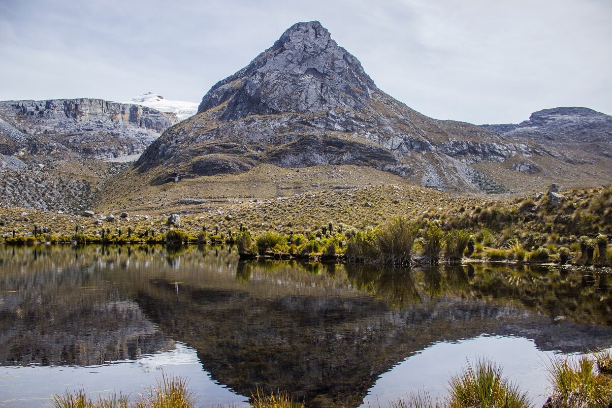 Cordillera Oriental de Colombia: características, fauna, flora, parques