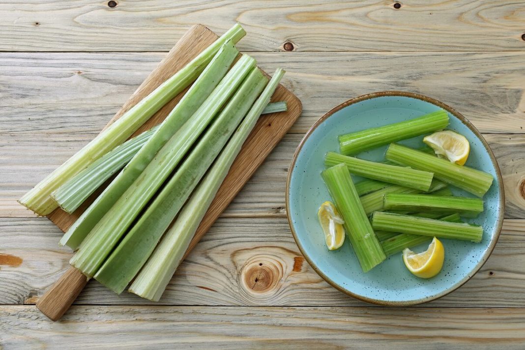 Los 15 tallos comestibles más comunes