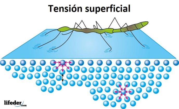Modelo corpuscular de la materia: explicación, origen y fundamentos