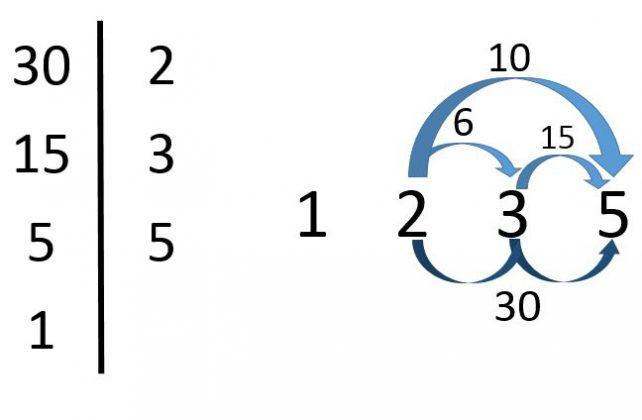 ¿Cuáles son los divisores de 30? (Explicación)