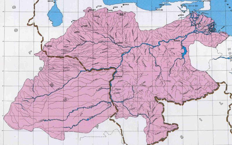 Llanura del Orinoco: qué es, territorio, clima, fauna, flora y recursos