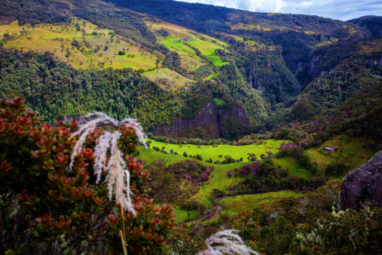 Los 23 Parques Naturales De La Región Andina Más Importantes