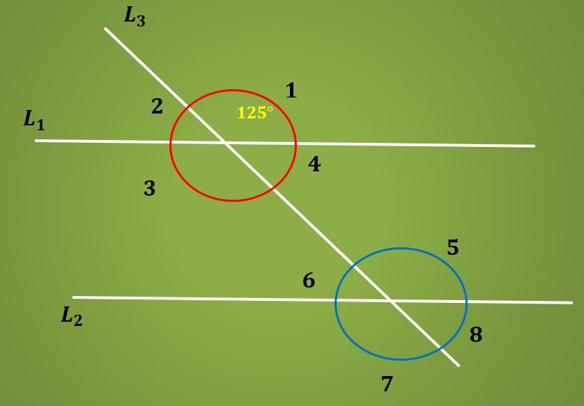 ¿Qué son los Ángulos Alternos Internos? (Con Ejercicios)