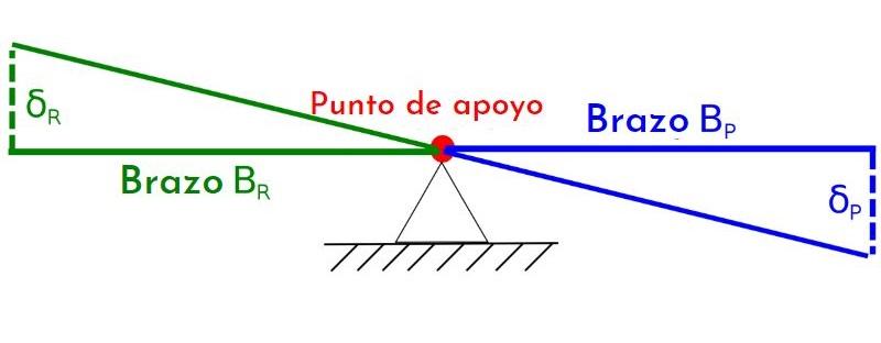 Anatomía De Palanca De Primera Clase