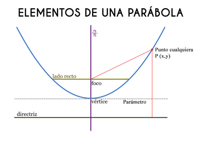 ¿Cuáles son los Elementos de la Parábola? (Partes)