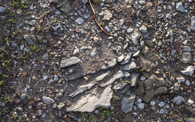 Suelo rocoso: qué es, características, vegetación, ubicación