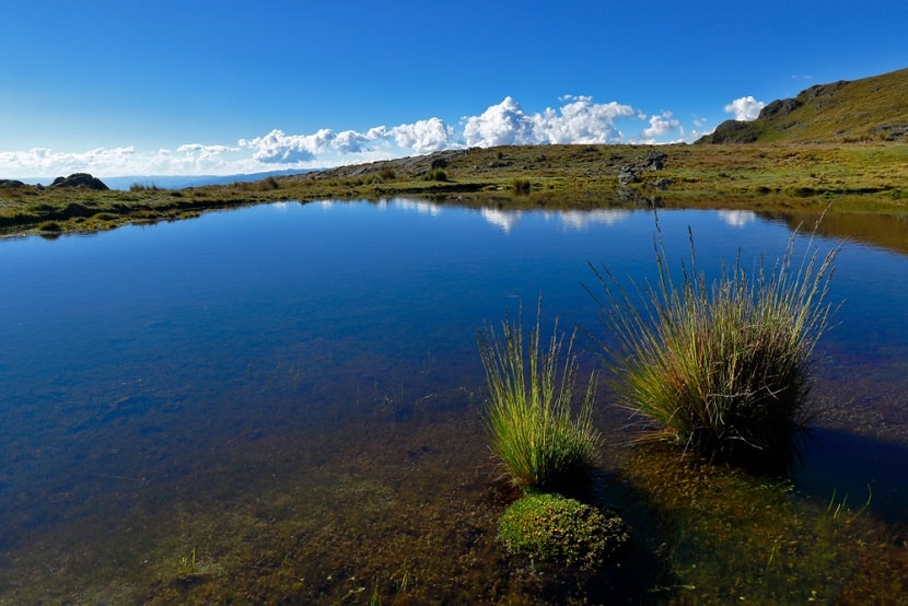 Región Puna Qué Es Características Relieve Clima Fauna Y Flora