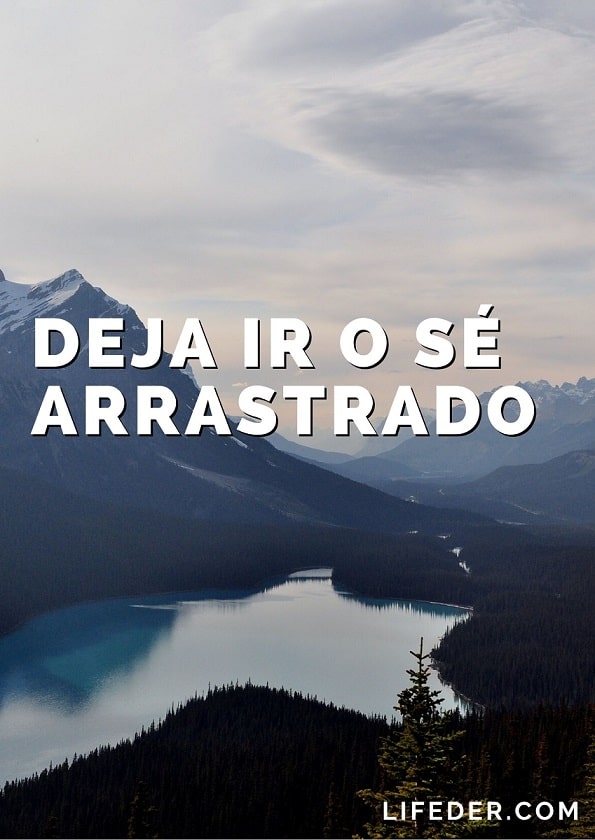 +100 Frases Zen para Meditar y Relajar Cuerpo y Mente