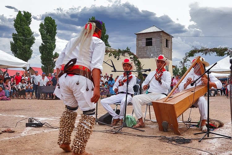 Tepehuanes: ubicación, características, religión, economía