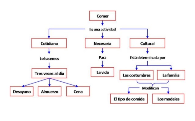 Que Es Un Diagrama Jerarquico