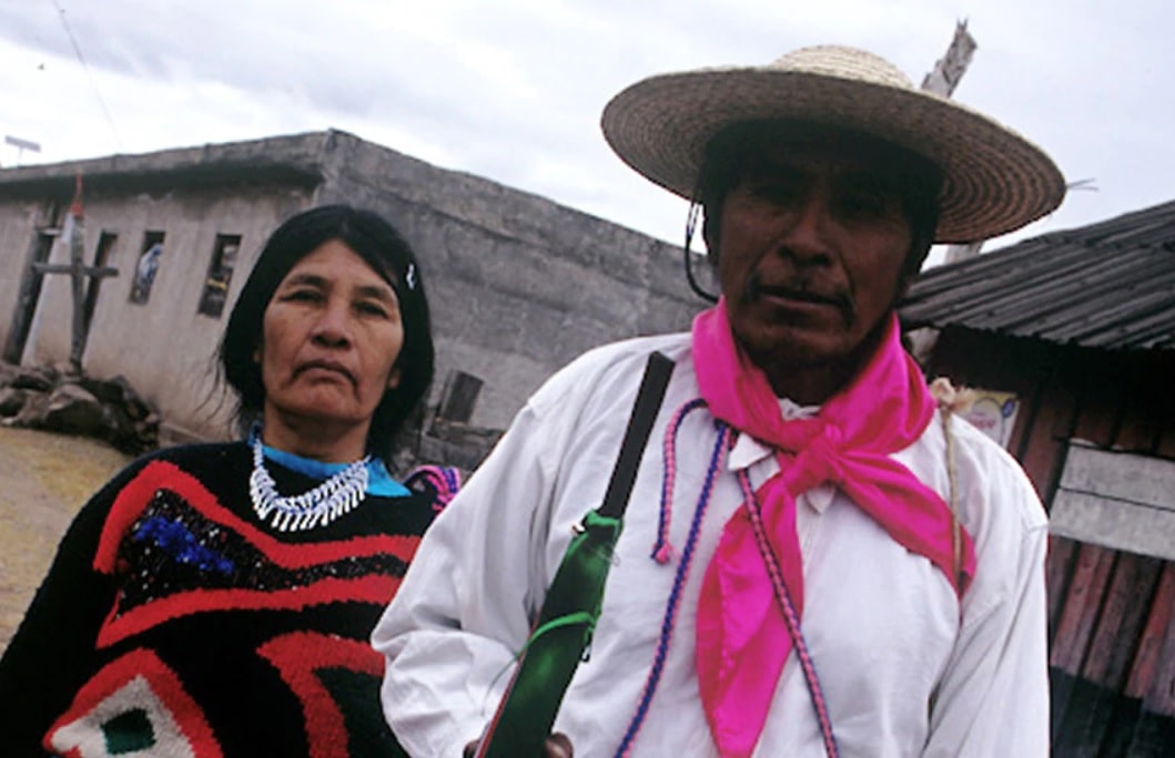 Tepehuanes: ubicación, características, religión, economía