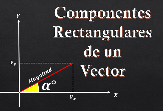 Componentes Rectangulares De Un Vector Con Ejercicios