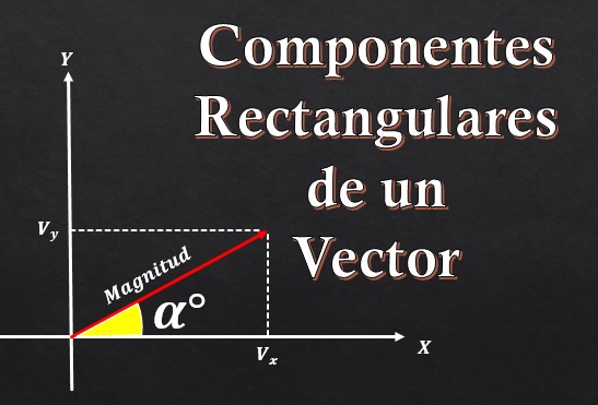 Componentes Rectangulares de un Vector (con Ejercicios)