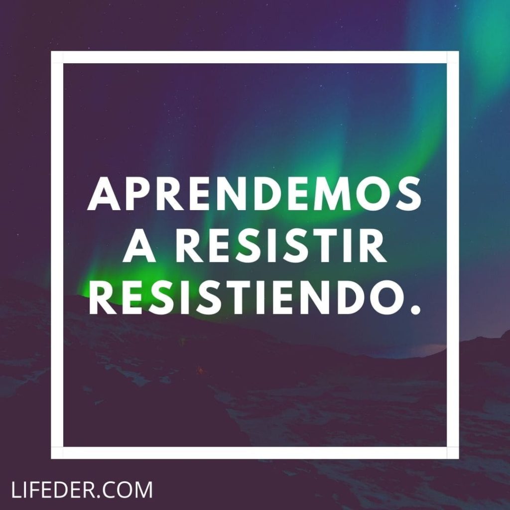 +100 Frases de Perseverancia y Constancia en la Vida