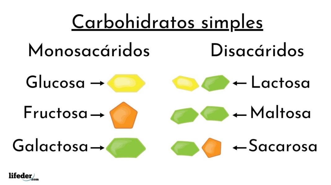 Biomoléculas: qué son, definición, tipos, funciones