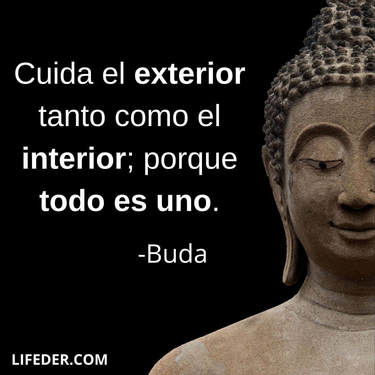 +100 Frases de Buda sobre la Vida, Amor y Más