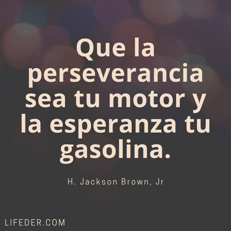 +100 Frases de Perseverancia y Constancia en la Vida