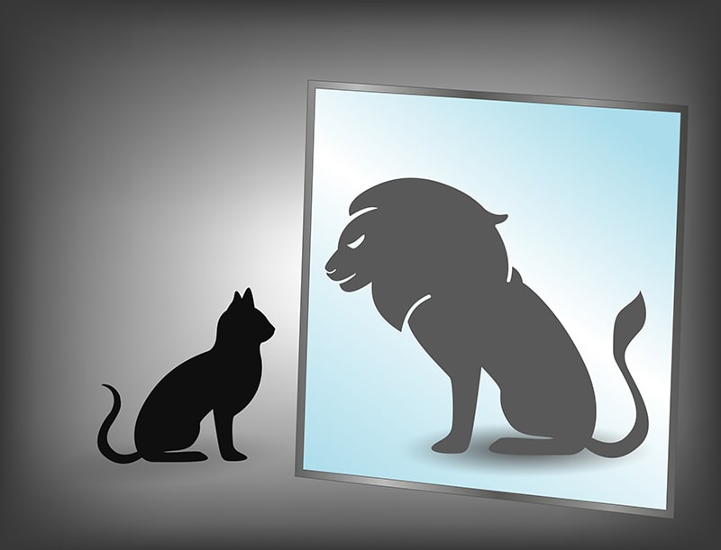 Autoestima media: características, cómo se forma, consecuencias