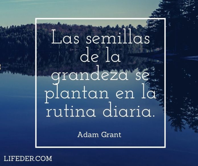 +100 Frases de Perseverancia y Constancia en la Vida