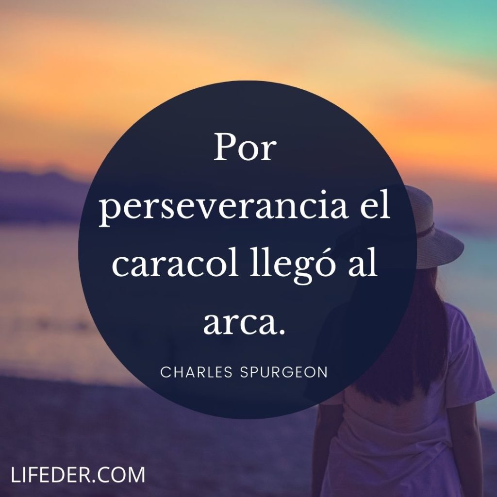 +100 Frases de Perseverancia y Constancia en la Vida