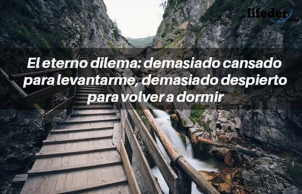 100 Frases Sarcásticas e Irónicas Graciosas [con Imágenes]