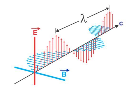 Onda Transversal: Características y Ejemplos - Lifeder