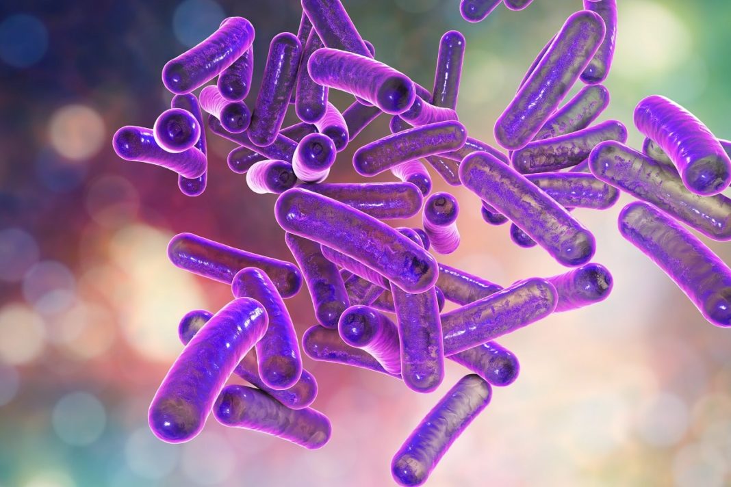 Enterobacterias: concepto, características, clasificación, ejemplos