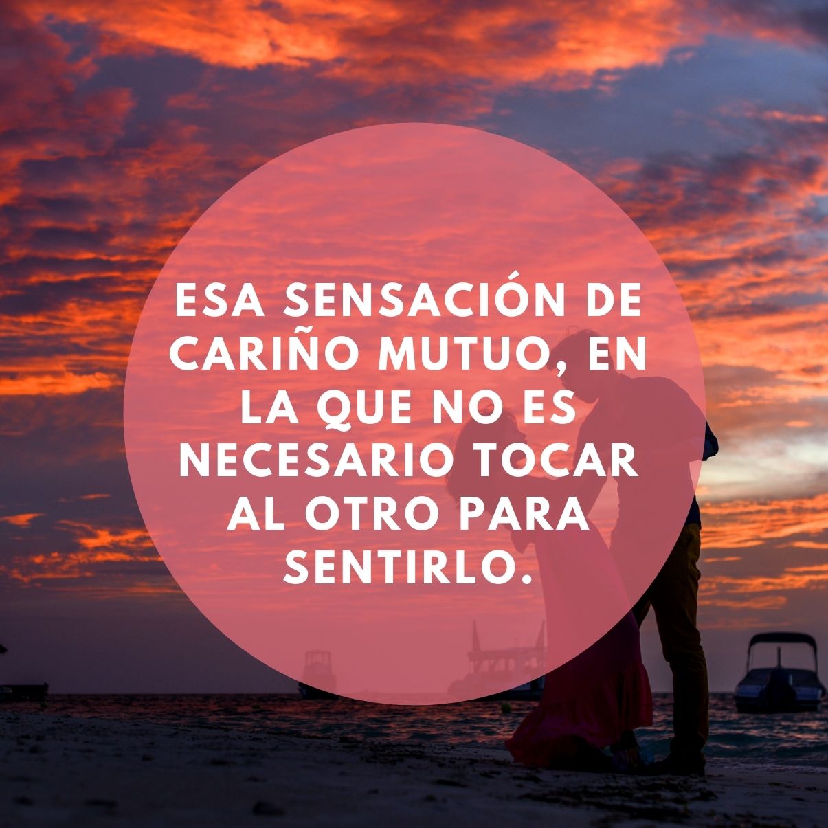 100 Frases De Cariño Para Dedicar A Alguien Especial