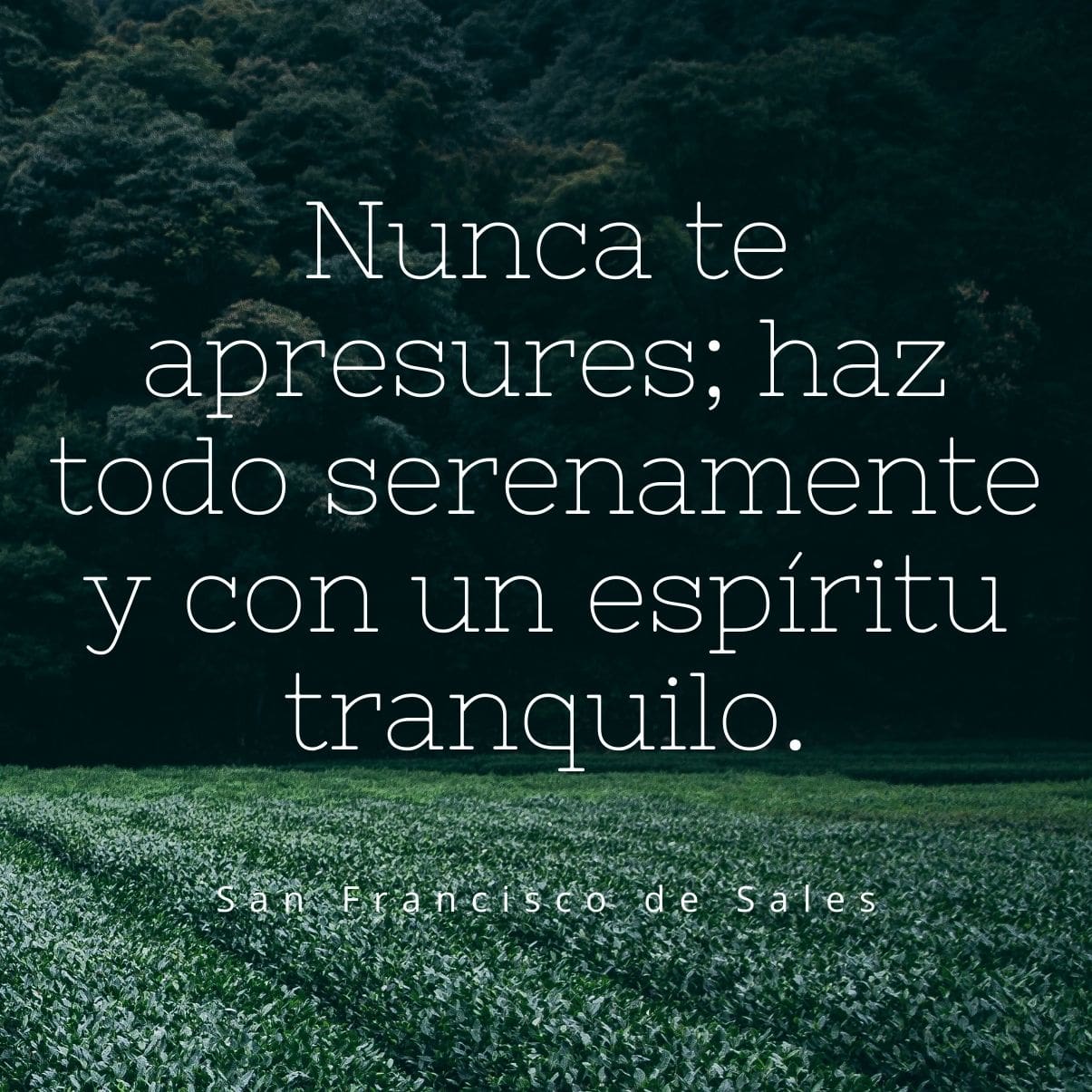 100 frases de tranquilidad, calma y serenidad