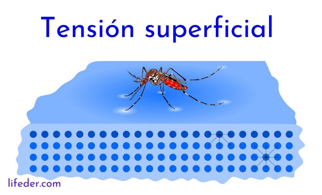 Fuerza de cohesión: concepto, características, ejemplos