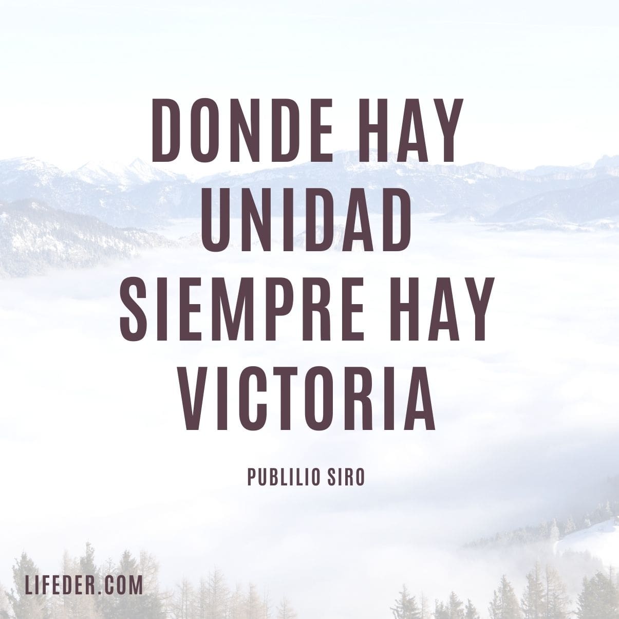 100+ Frases de Victoria en la Vida y Sobre Uno Mismo