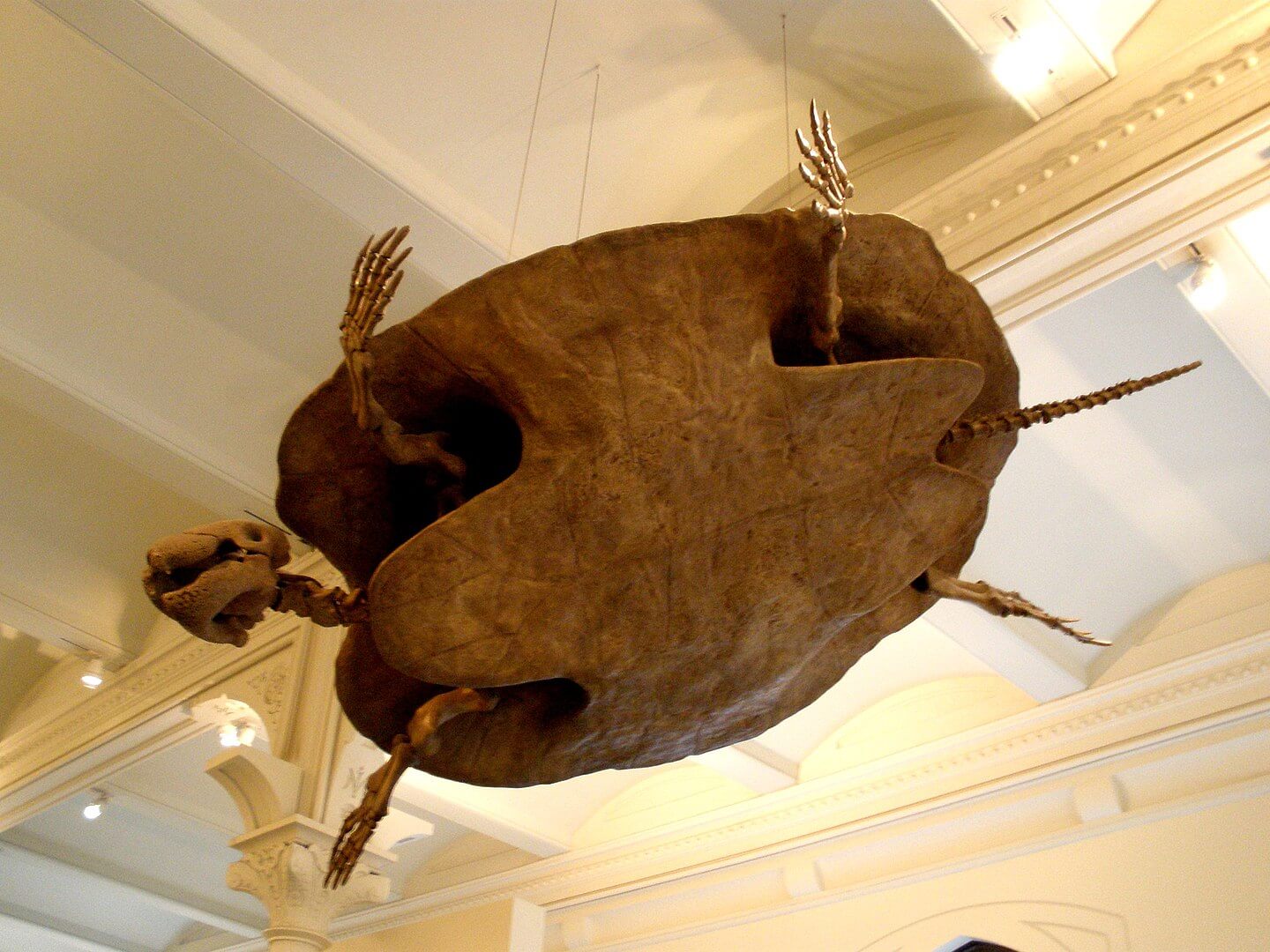 Relación de la biología con otras ciencias