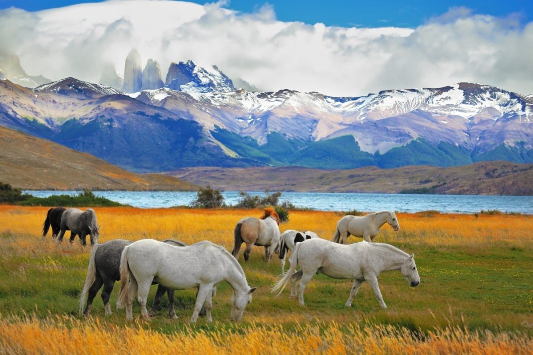 Paisaje geográfico: concepto, características, elementos, ejemplos