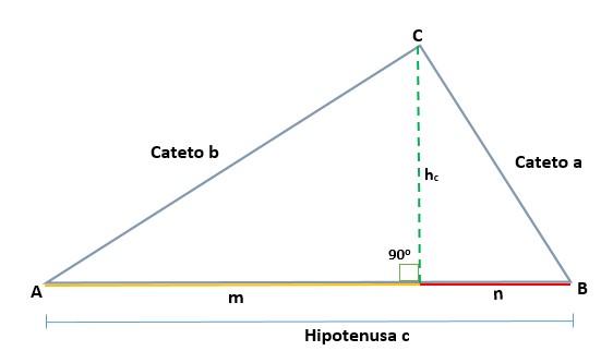 Teorema de Euclides: qué es, demostración, aplicación, ejercicios
