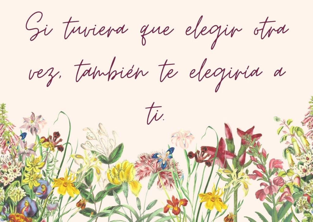 100 Frases Tiernas de Amor para Dedicar (Cortas)