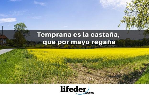 71 frases de mayo bonitas y cortas