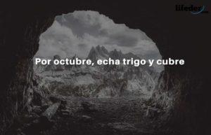 67 frases de octubre cortas y bonitas