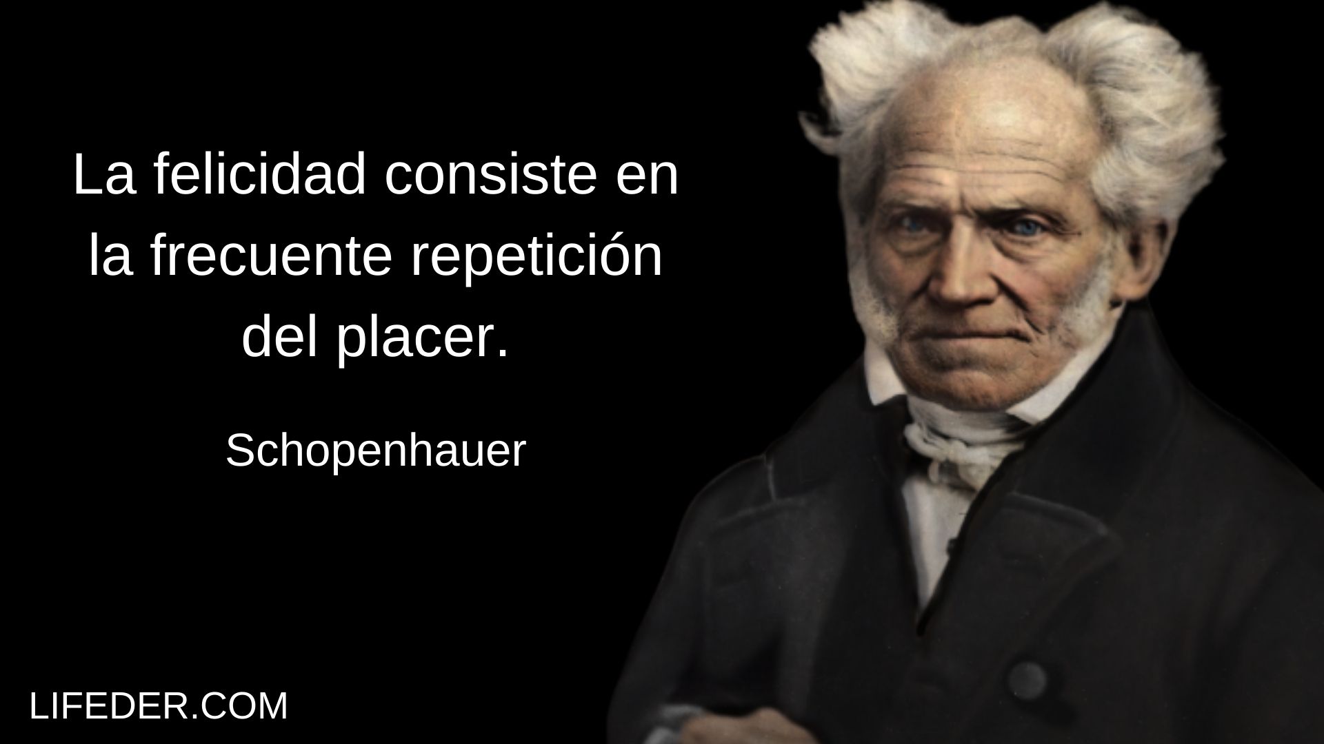 80 frases de Schopenhauer sobre la vida, el amor y el arte
