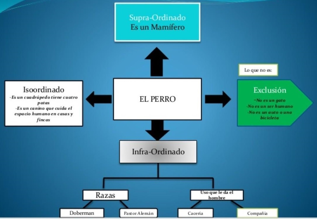 Que ES Un Mentefacto Que ES Un Mentefacto
