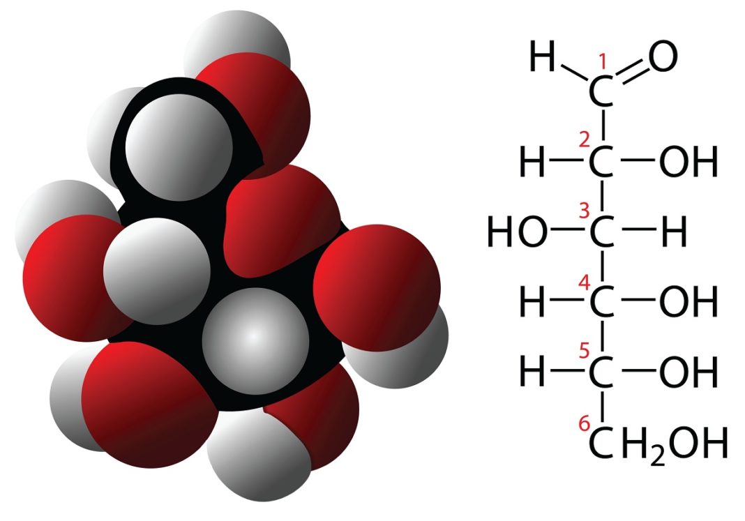 Grupo hidroxilo: qué es, estructura, características, ejemplos